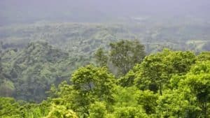 Natural Resources of Bangladesh – Bangladesh