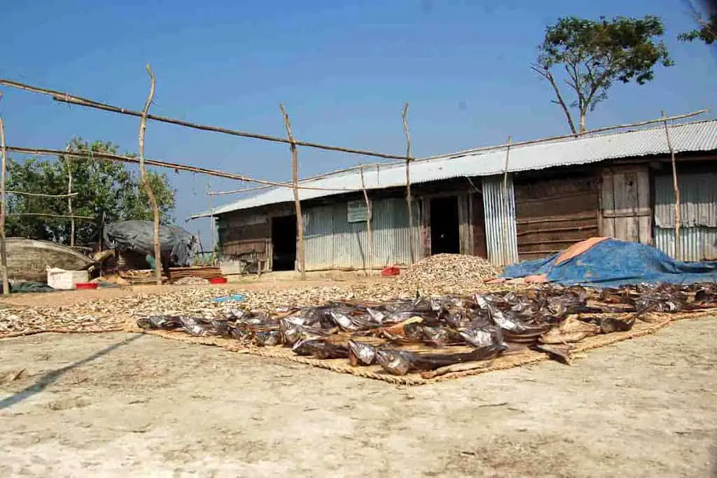 The daughter of the sea – Kuakata, Bangladesh – Bangladesh